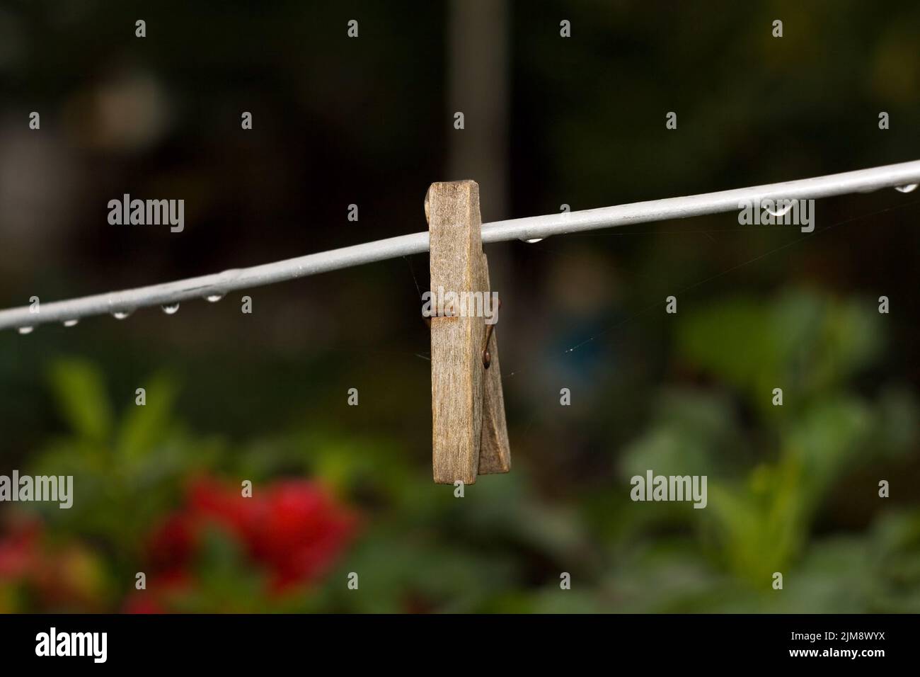 One hanging clothespin. loneliness metaphor Stock Photo - Alamy
