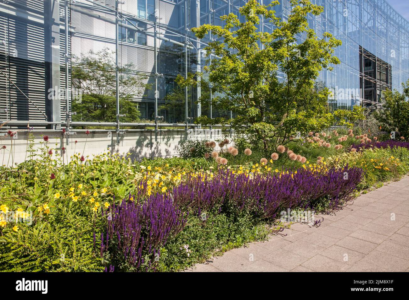 the Neven DuMont building of the DuMont Media Group on Amsterdamer ...