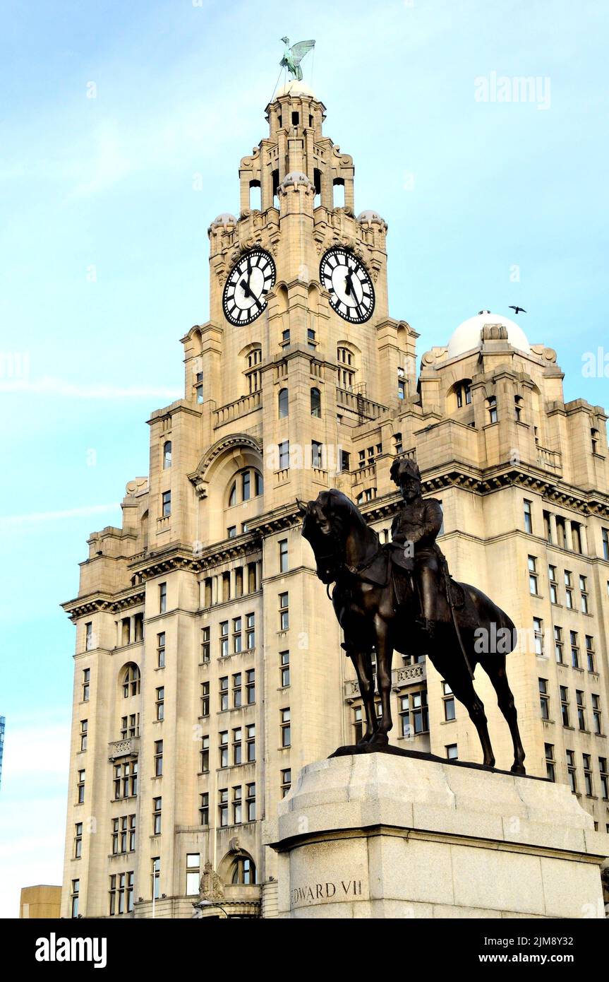 Royal Liver building /Edward V11 Stock Photo - Alamy