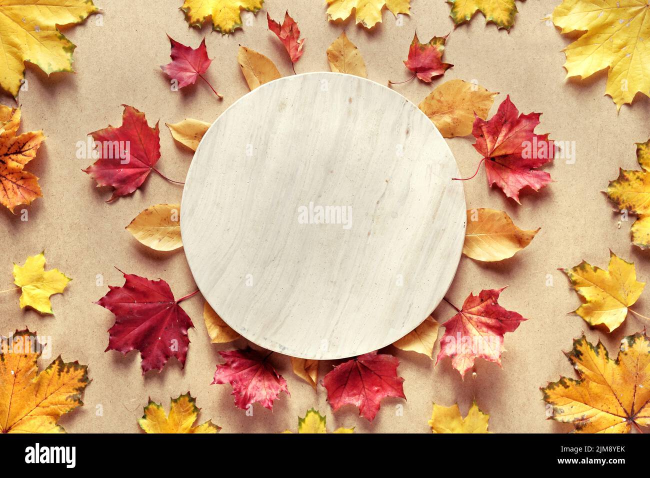 Blank circle stone pedestal. Dry Fall leaves on cardboard background ...
