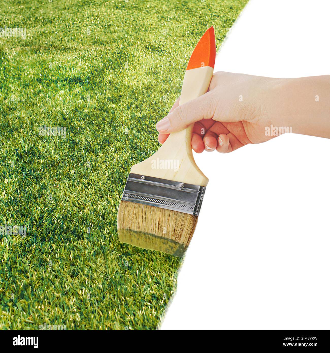 Female hand holding paint brush isolated on white Stock Photo - Alamy