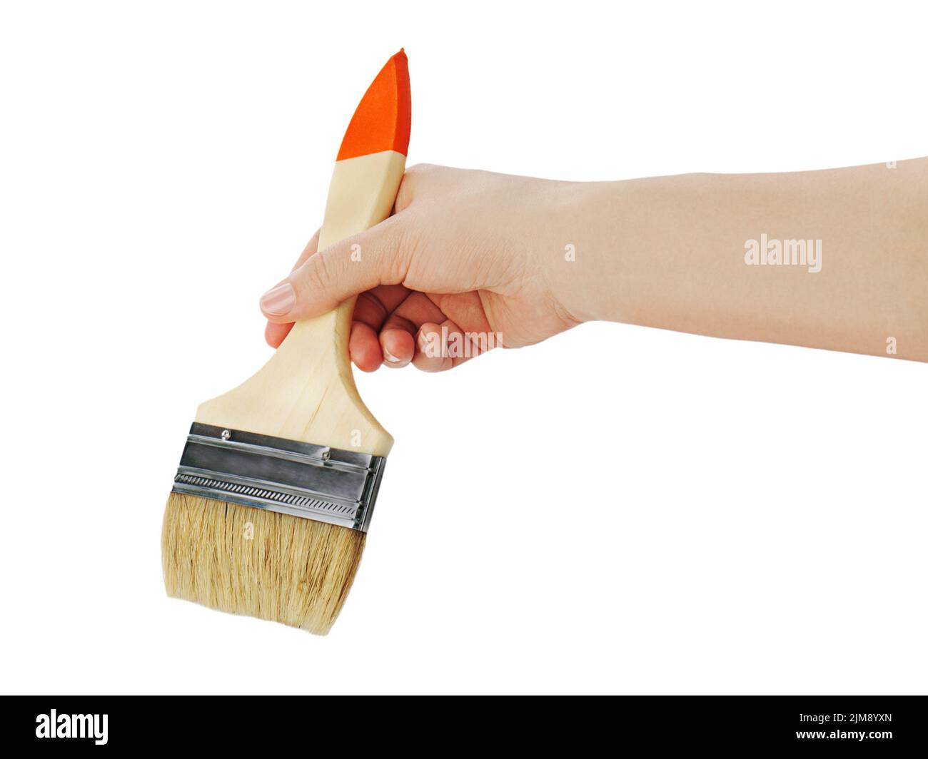 Female hand holding paint brush isolated on white Stock Photo - Alamy