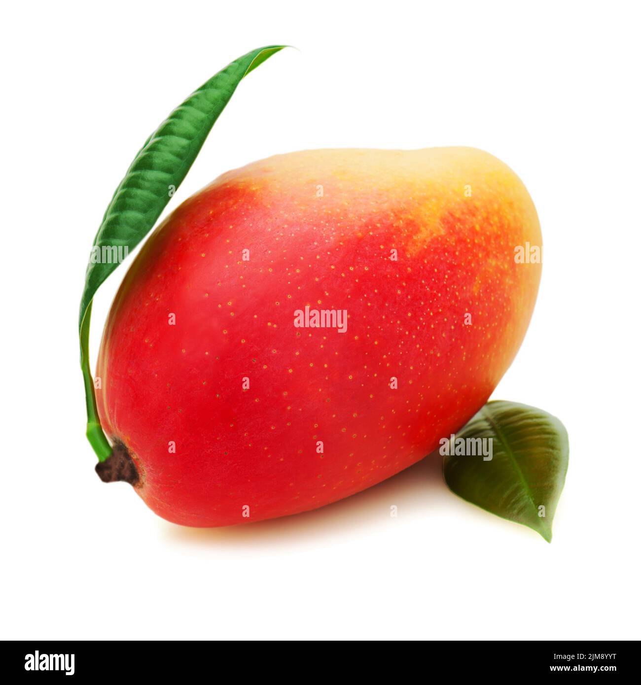 Fresh mango fruit with green leaves isolated on wh Stock Photo - Alamy