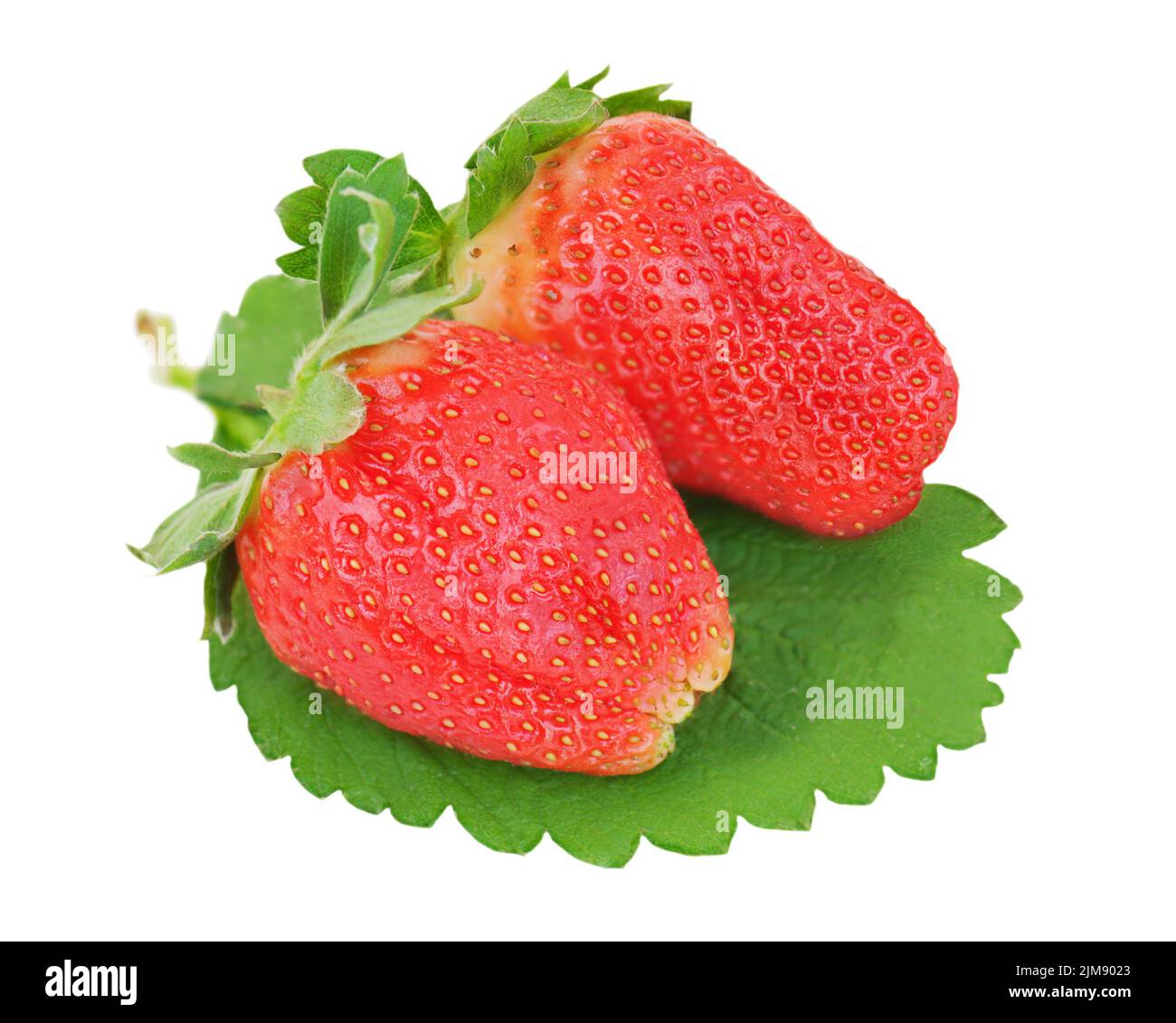 Group of bright red shiny strawberries hi-res stock photography and ...
