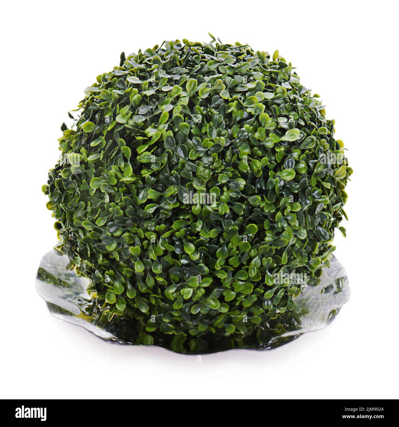 Green grass texture from soccer hi-res stock photography and images - Alamy