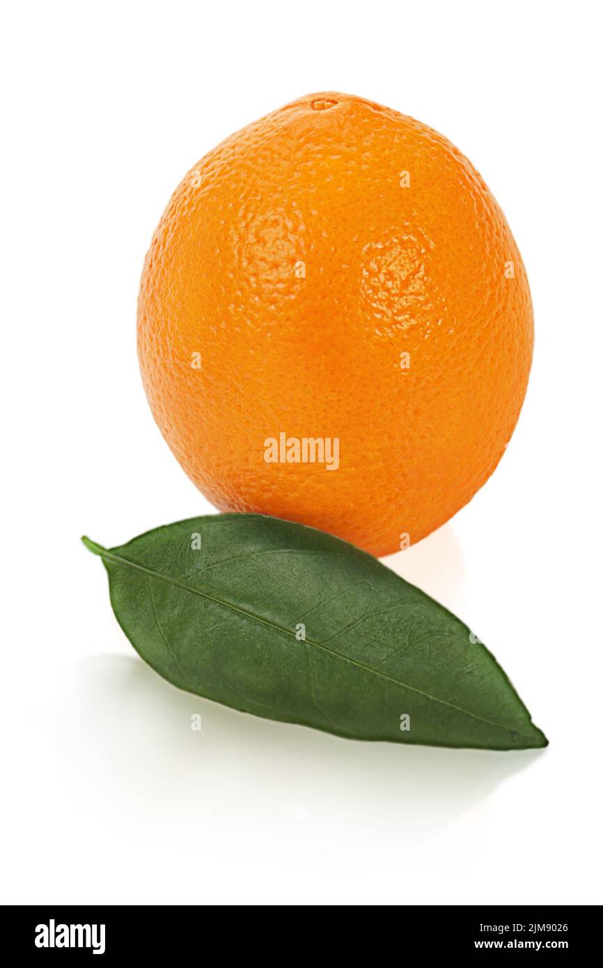 Ba cut Cut Out Stock Images & Pictures - Alamy