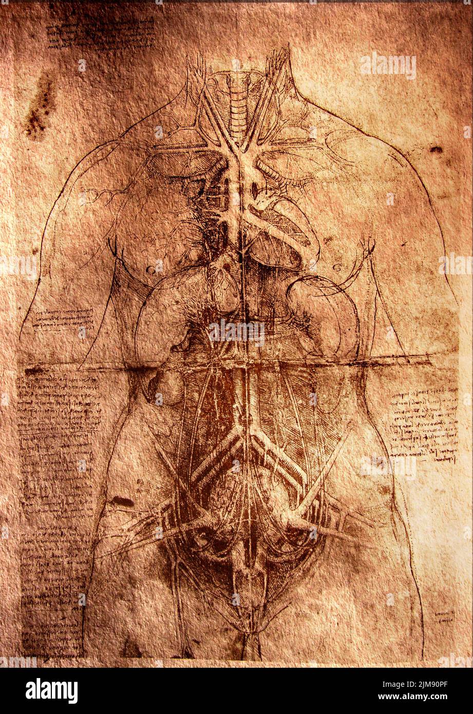 Davinci man hi-res stock photography and images - Alamy