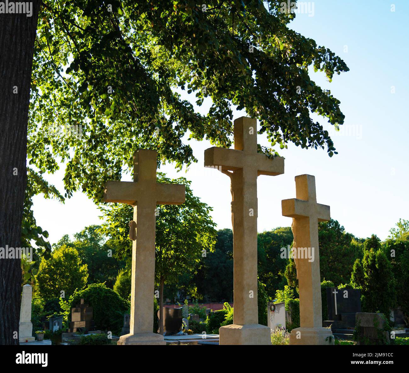 Catholic crosses in the old Jewish cemetery in the shade of a tree ...
