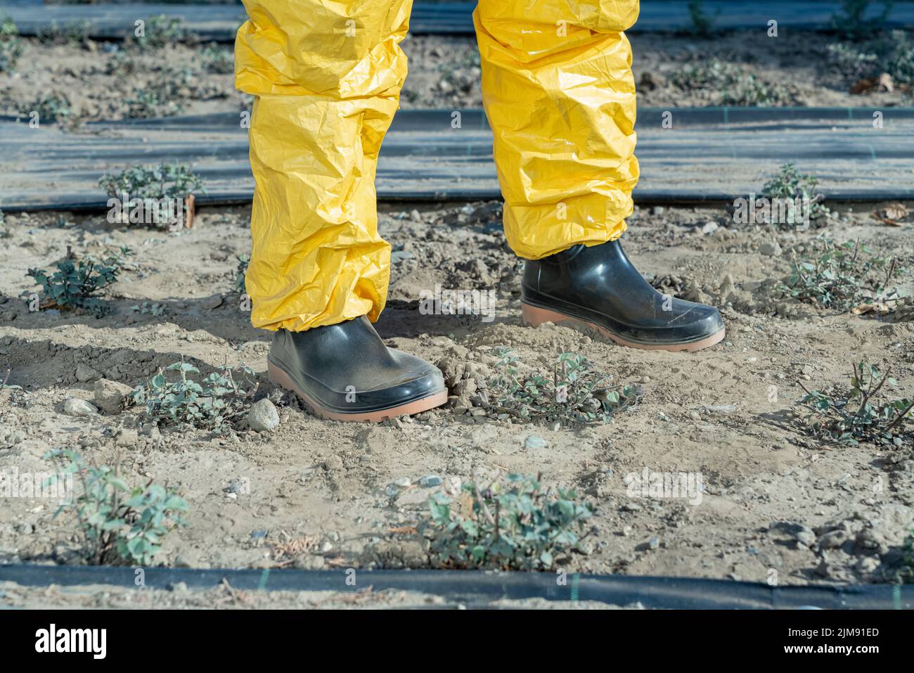 Safety shoes hi-res stock photography and images - Alamy