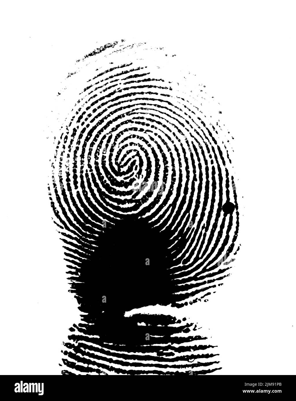 Fake signature Cut Out Stock Images & Pictures - Alamy