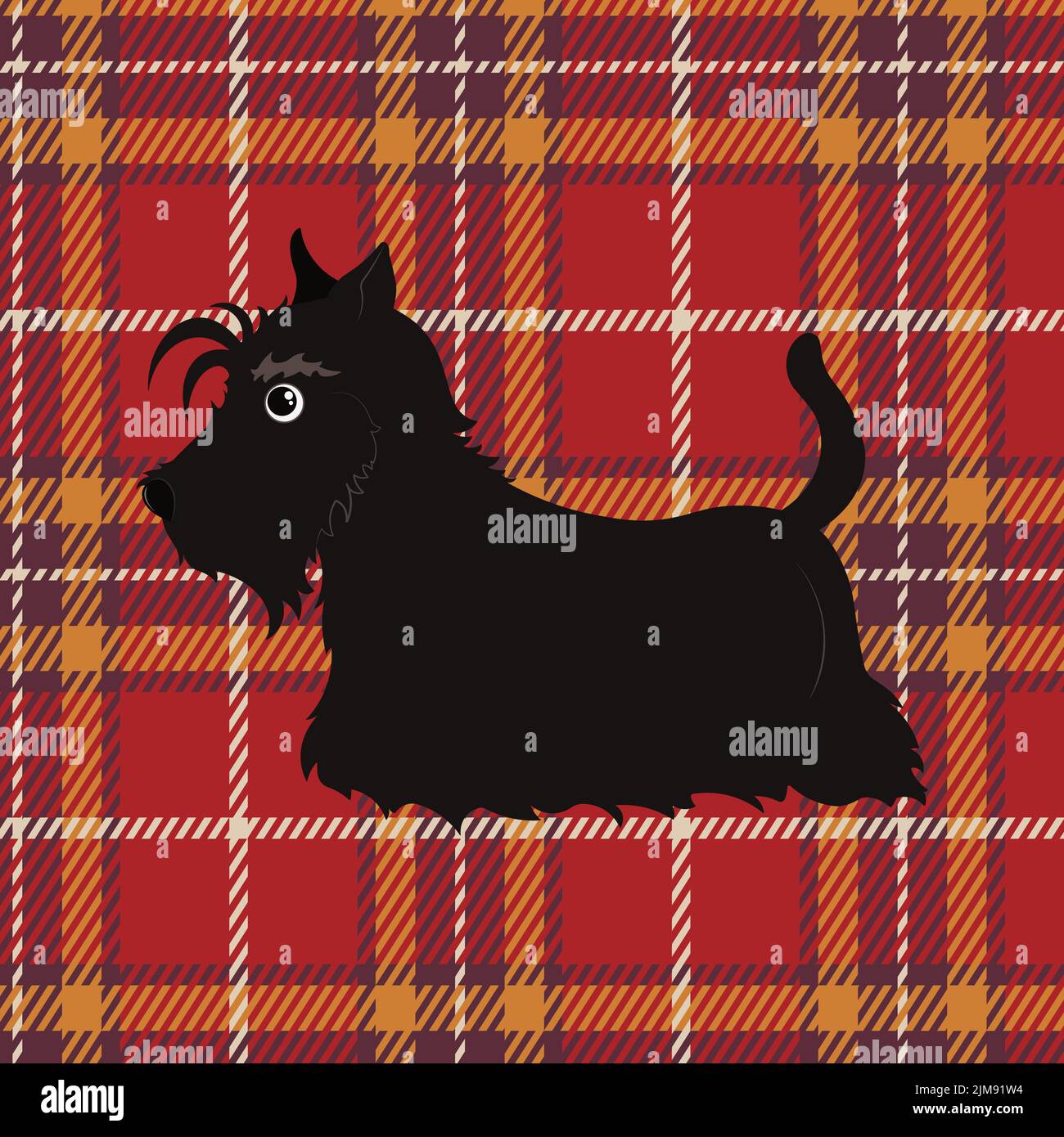 Cute black scottish terrier on tartan background Stock Vector Image ...
