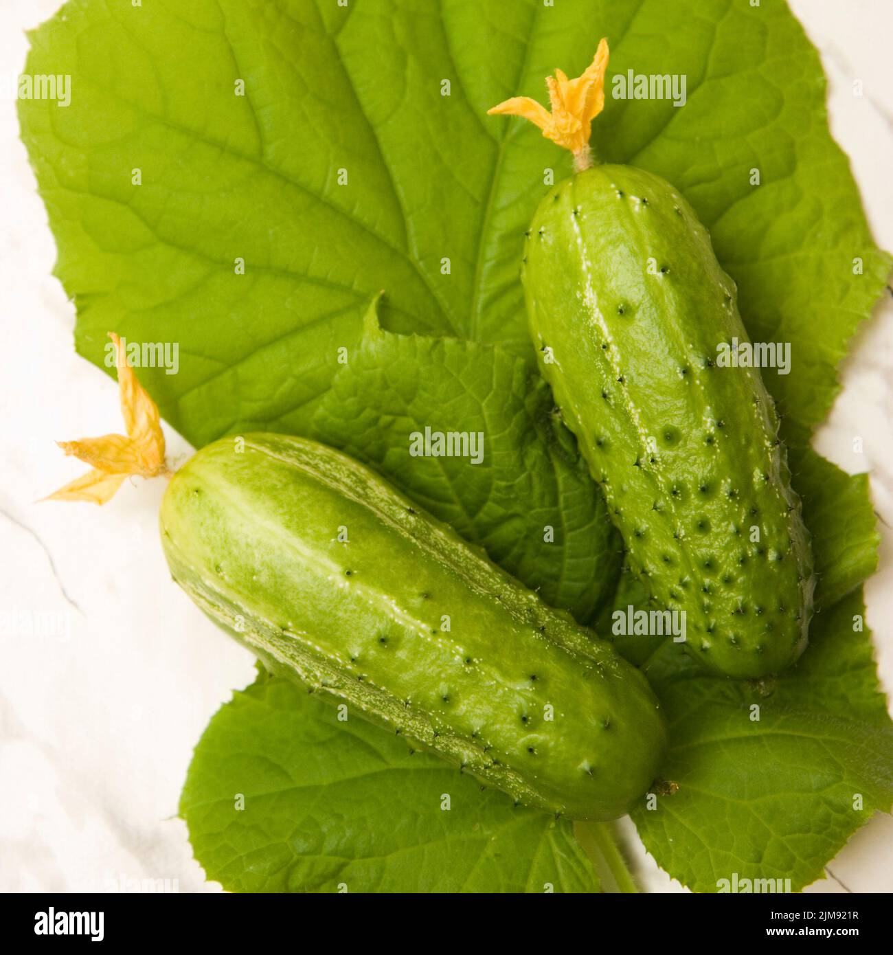 Two cucumbers hi-res stock photography and images - Alamy