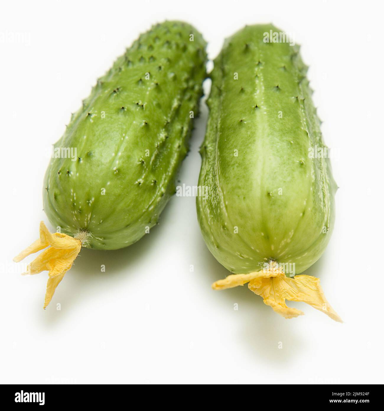 Cucumbers pattern hi-res stock photography and images - Alamy