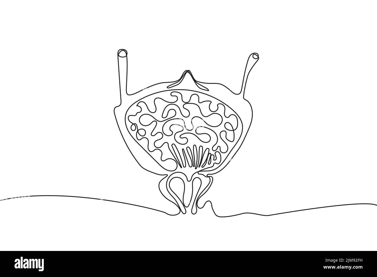 Bladder Hand drawn icon continuous line drawing. Human organs Creative ...