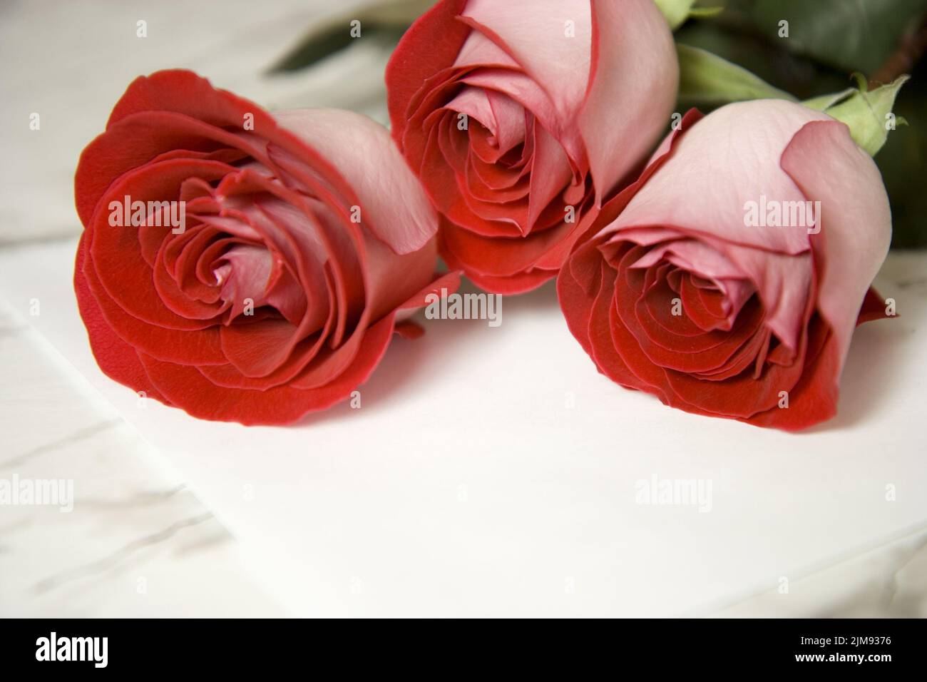 Three red roses and note Stock Photo - Alamy