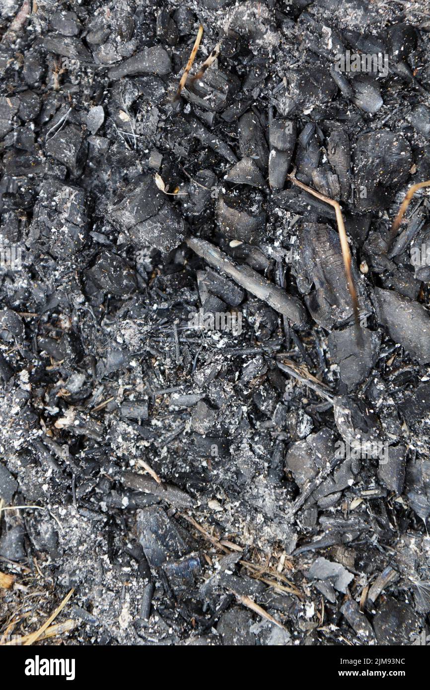 Charcoal. extinguished bonfire Stock Photo - Alamy