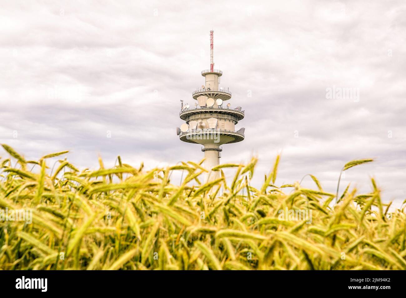Field telephone network hi-res stock photography and images - Alamy