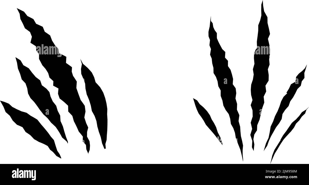Cat scratches set. Black claws animal scratch, Torn paper. Cat claws ...