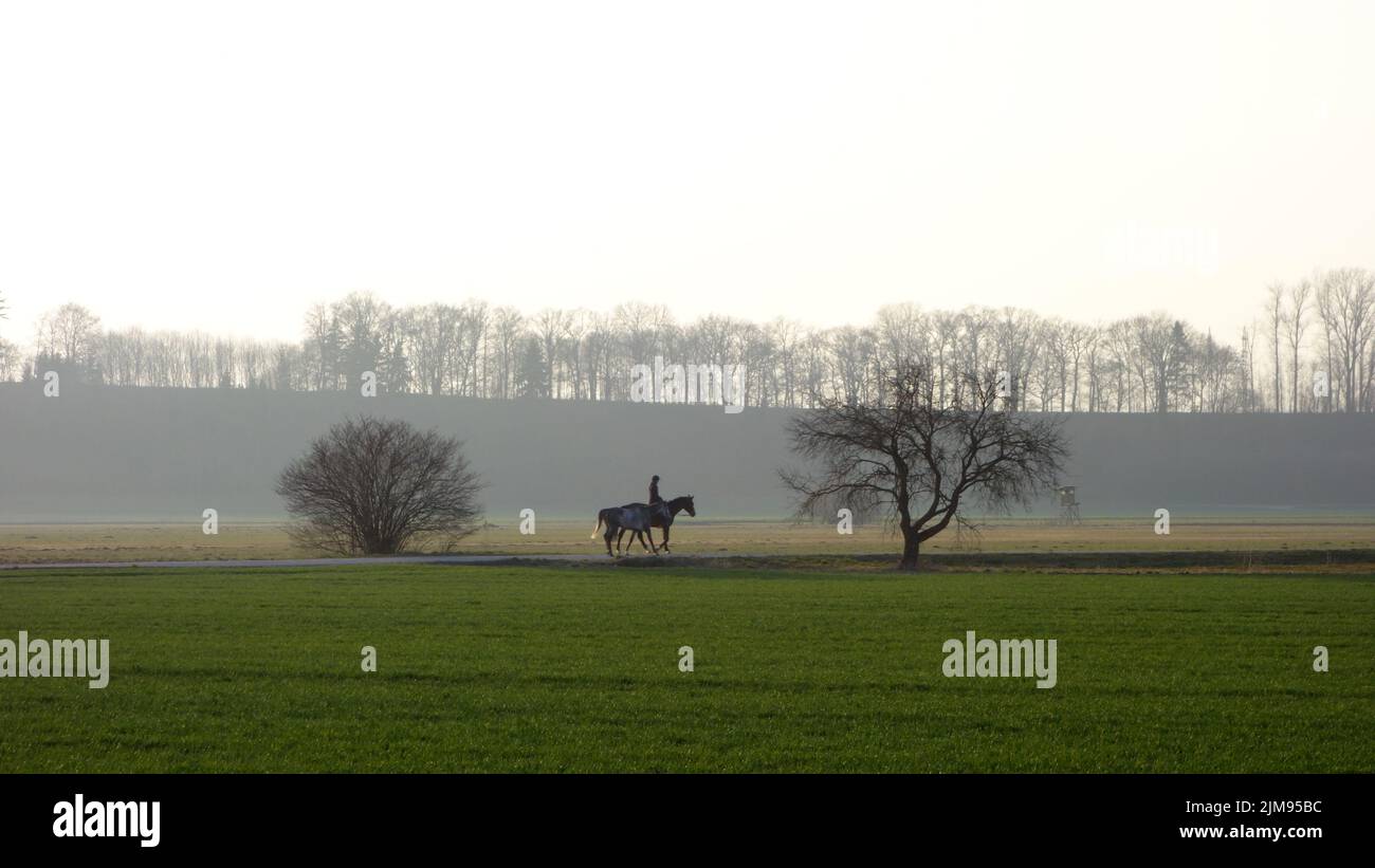 Fog ride hi-res stock photography and images - Alamy