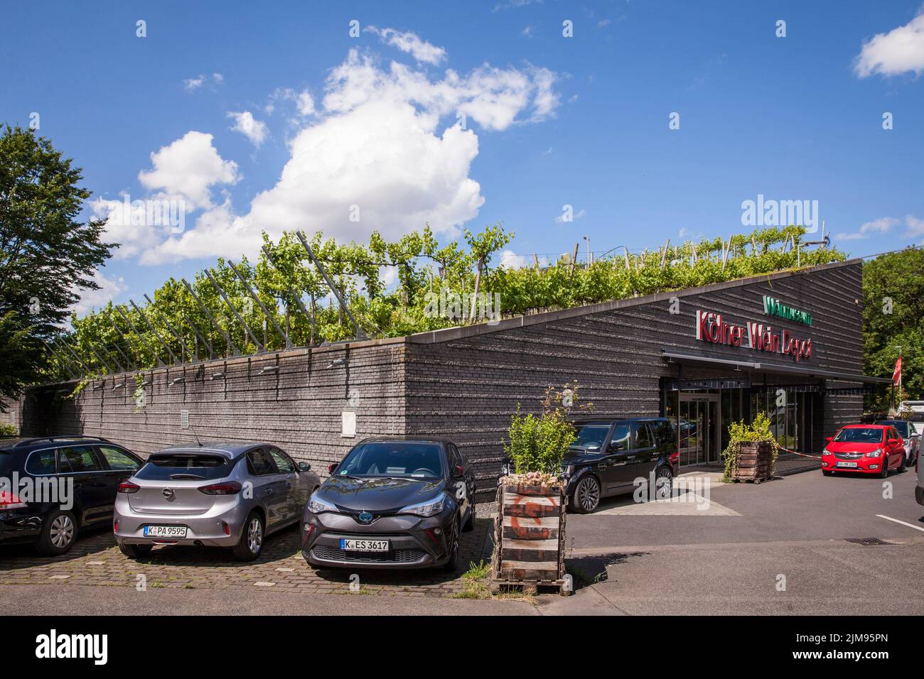 vine growing on the roof of the Wine Museum on Amsterdamer Street ...