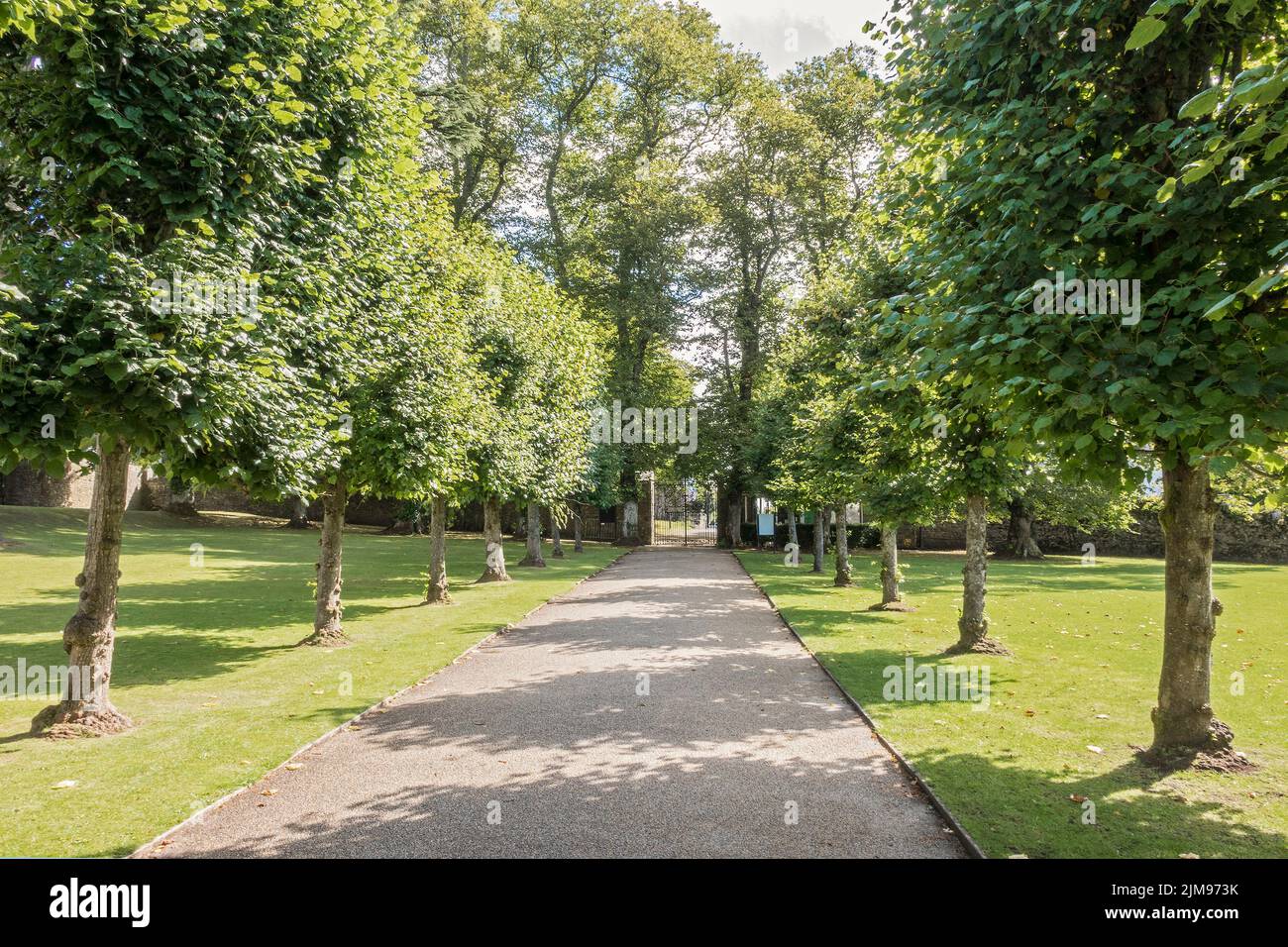 Tree Lined Entrance St. Fagan's Cardiff Glamorgan Stock Photo - Alamy