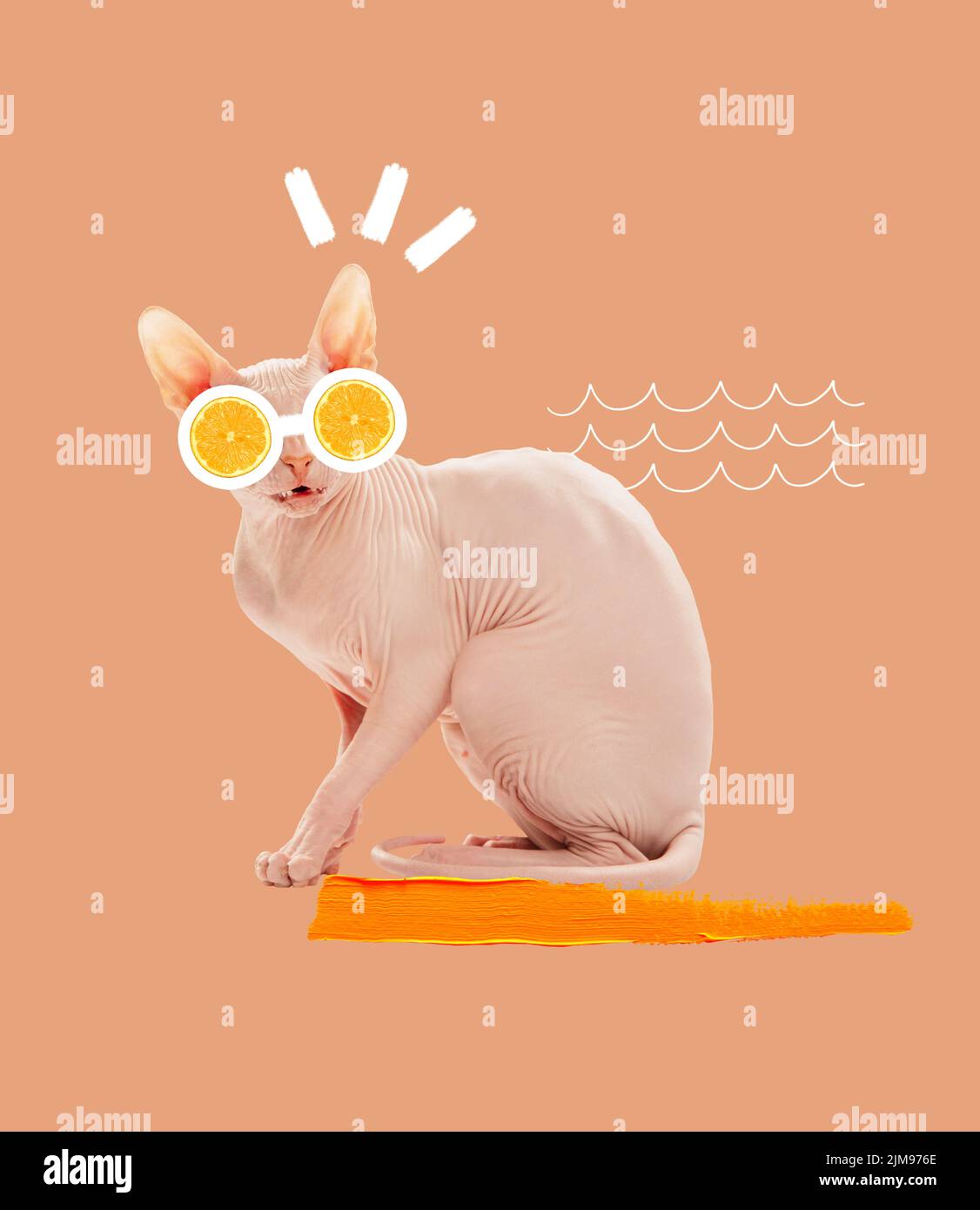 Contemporary art collage. Sphynx cat with oranges eyes isolated over ...