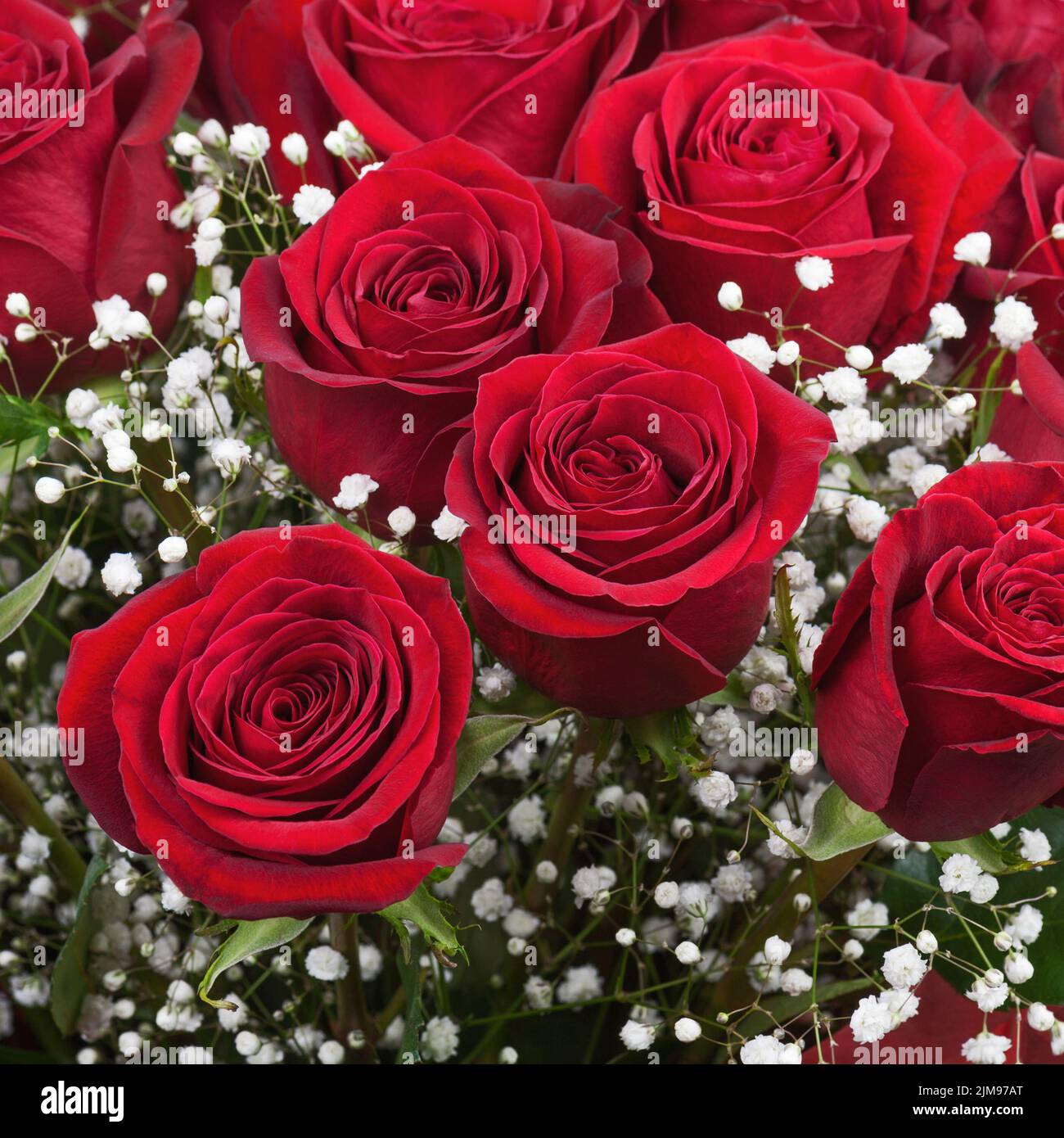 Flower bouquet from red roses Stock Photo - Alamy