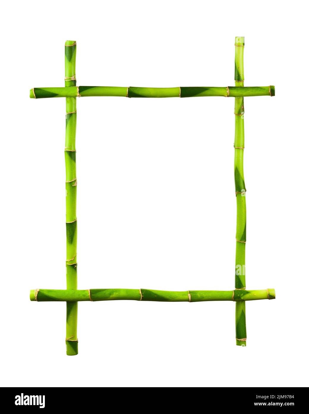 Green Bamboo Frame