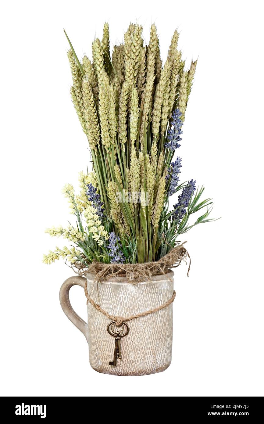 Oat flowers Cut Out Stock Images & Pictures - Alamy