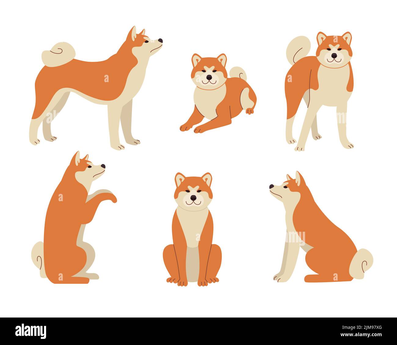 Cute comic shiba inu in different poses vector illustrations set. Dog cartoon character standing ...