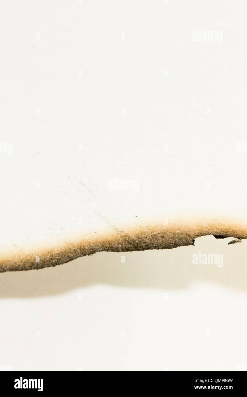 Piece of paper with burned edge Stock Photo - Alamy
