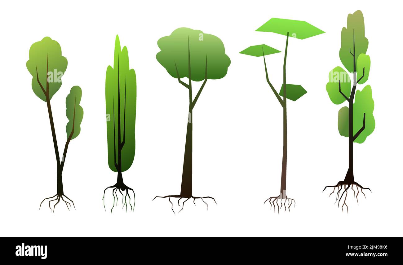 Seedlings of young trees with roots. Set of Garden plants. Fruit ...