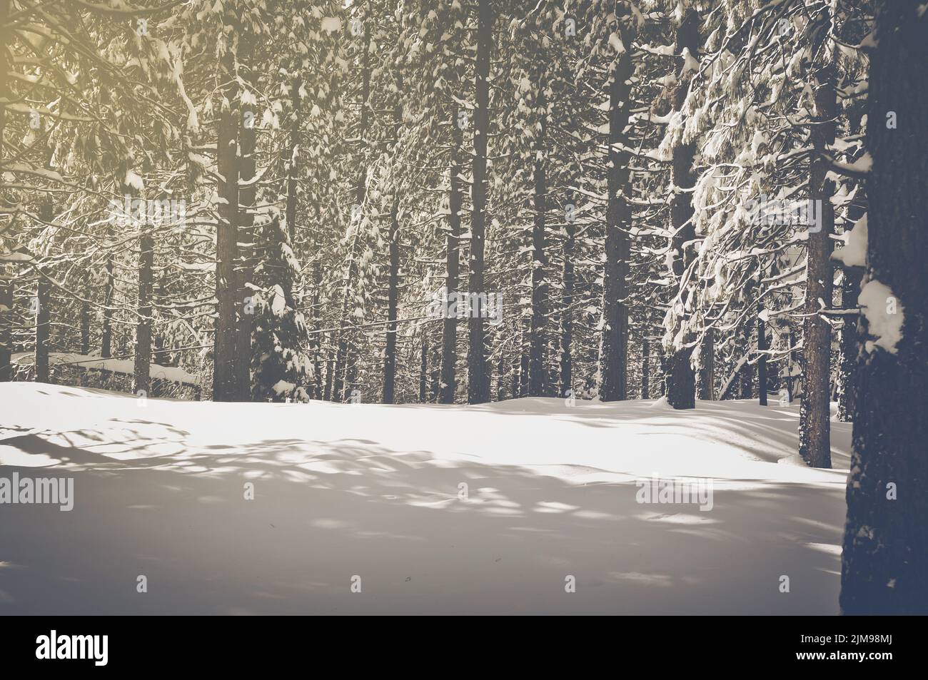 Snowstorm effect hi-res stock photography and images - Alamy