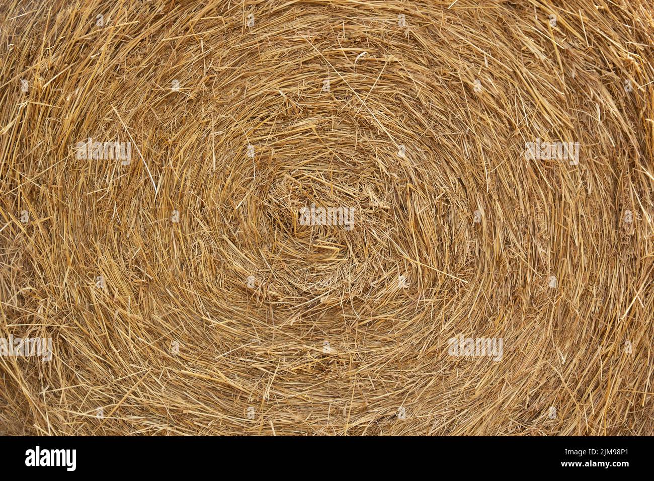 Circular haystuck background cropped in French Brittany Stock Photo - Alamy