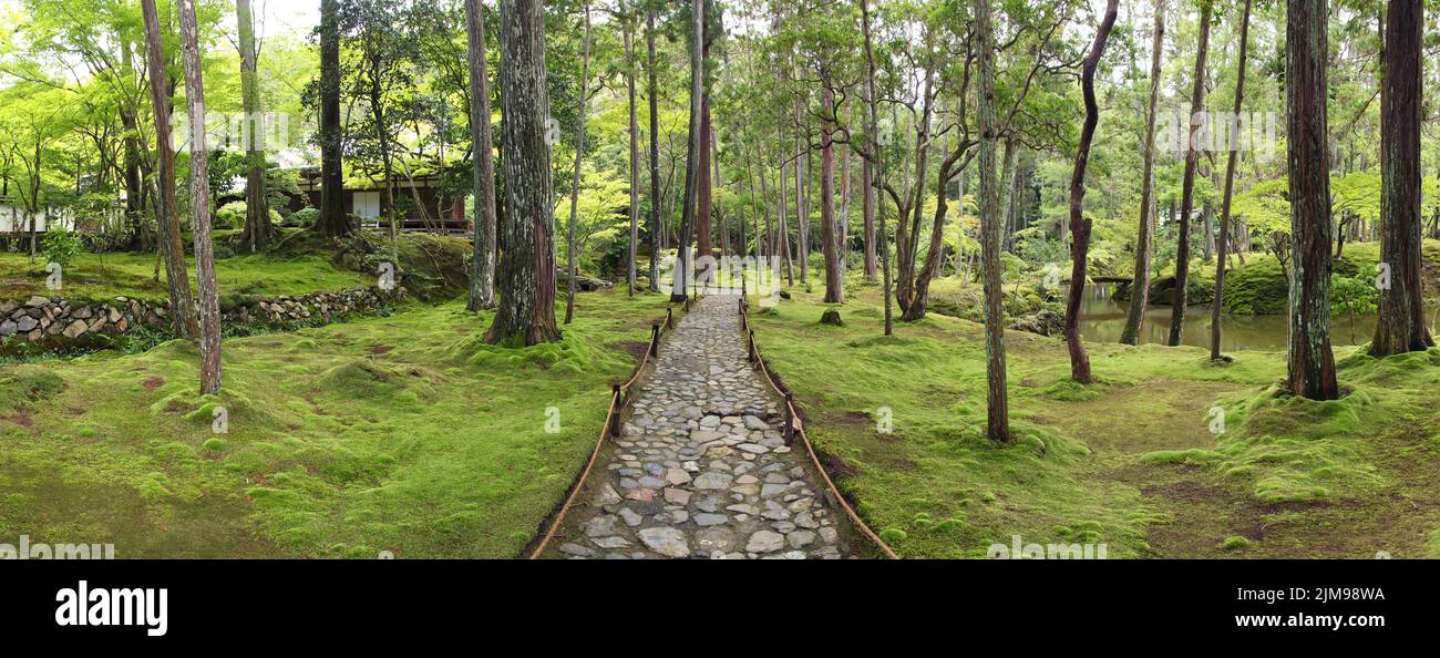 Straight path in the panoramic view of the famous moss garden in Kyoto ...