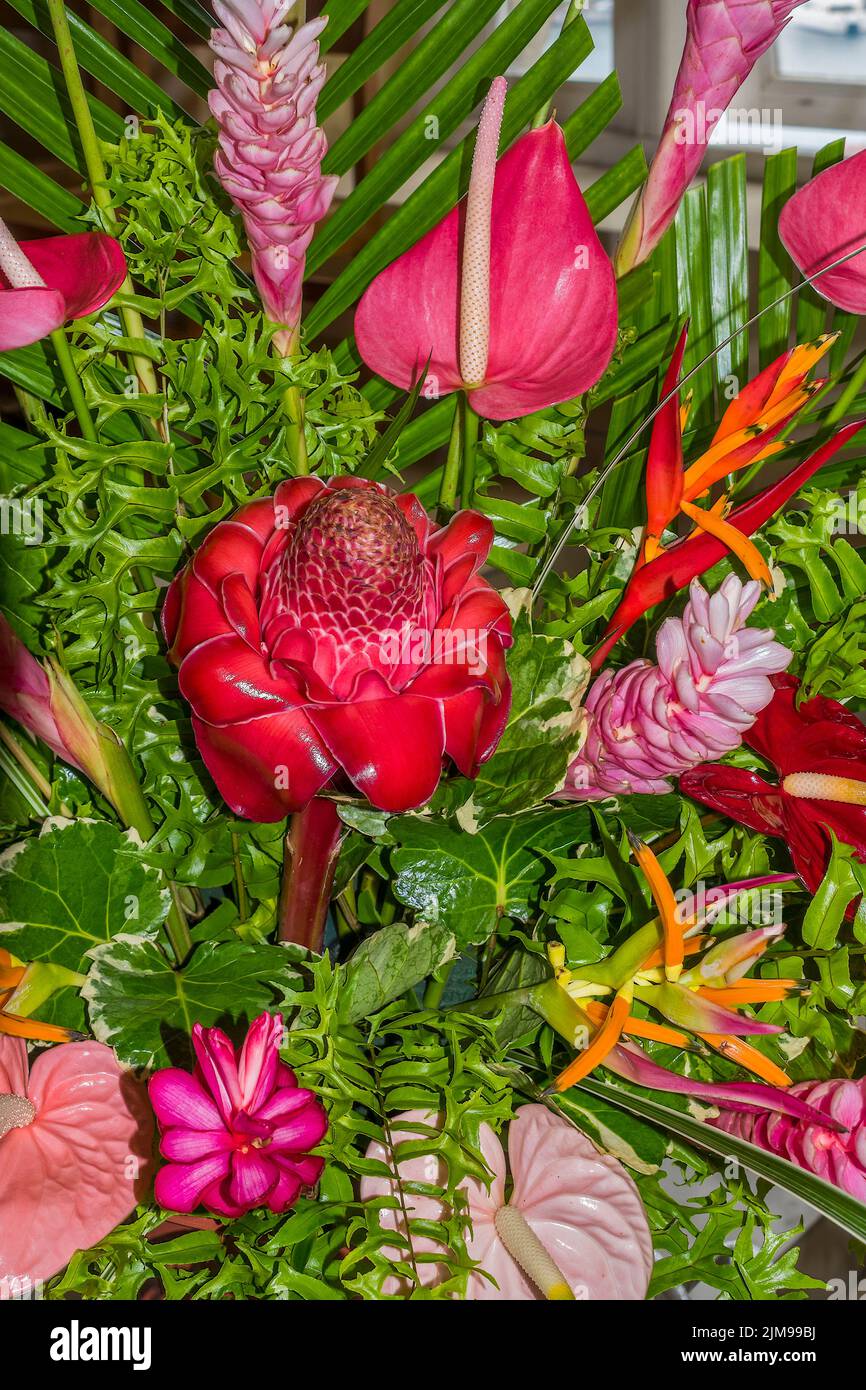 Cathedral st george's grenada hi-res stock photography and images - Alamy