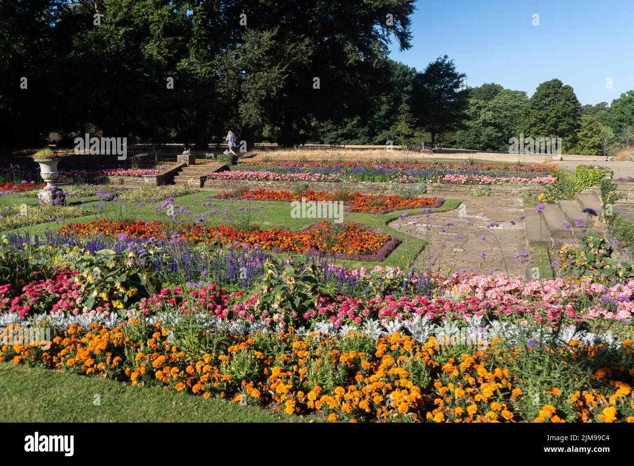 Wimbledon, London, UK. 5 August 2022 Flowerbeds in Cannizaro park ...
