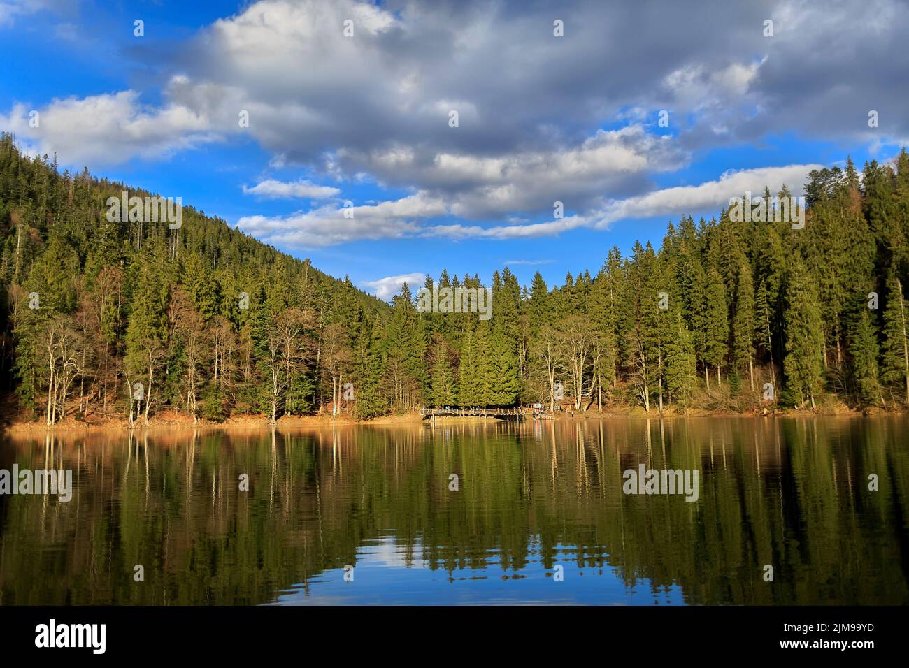 Synevyr lake - deepest in the Urainian carpathian mountains Stock Photo ...