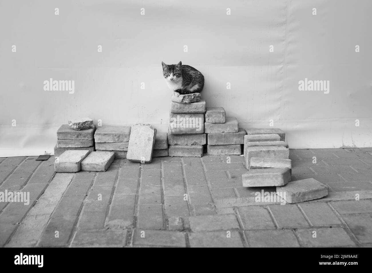 Hungry break hi-res stock photography and images - Alamy