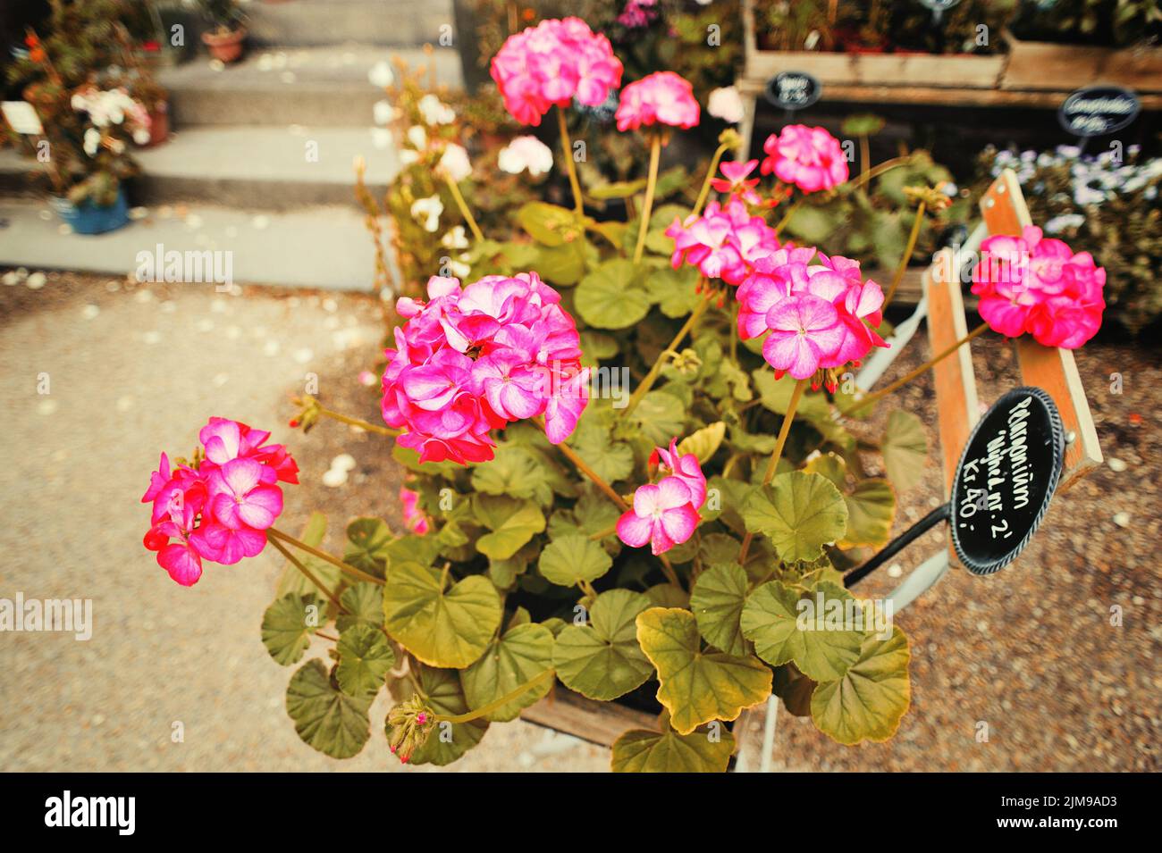 Classic beautiful garden hi-res stock photography and images - Alamy
