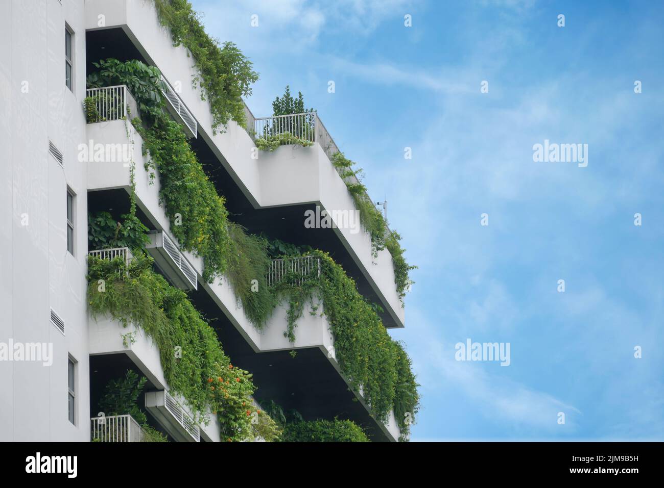 building with plants growing on the facade Stock Photo - Alamy