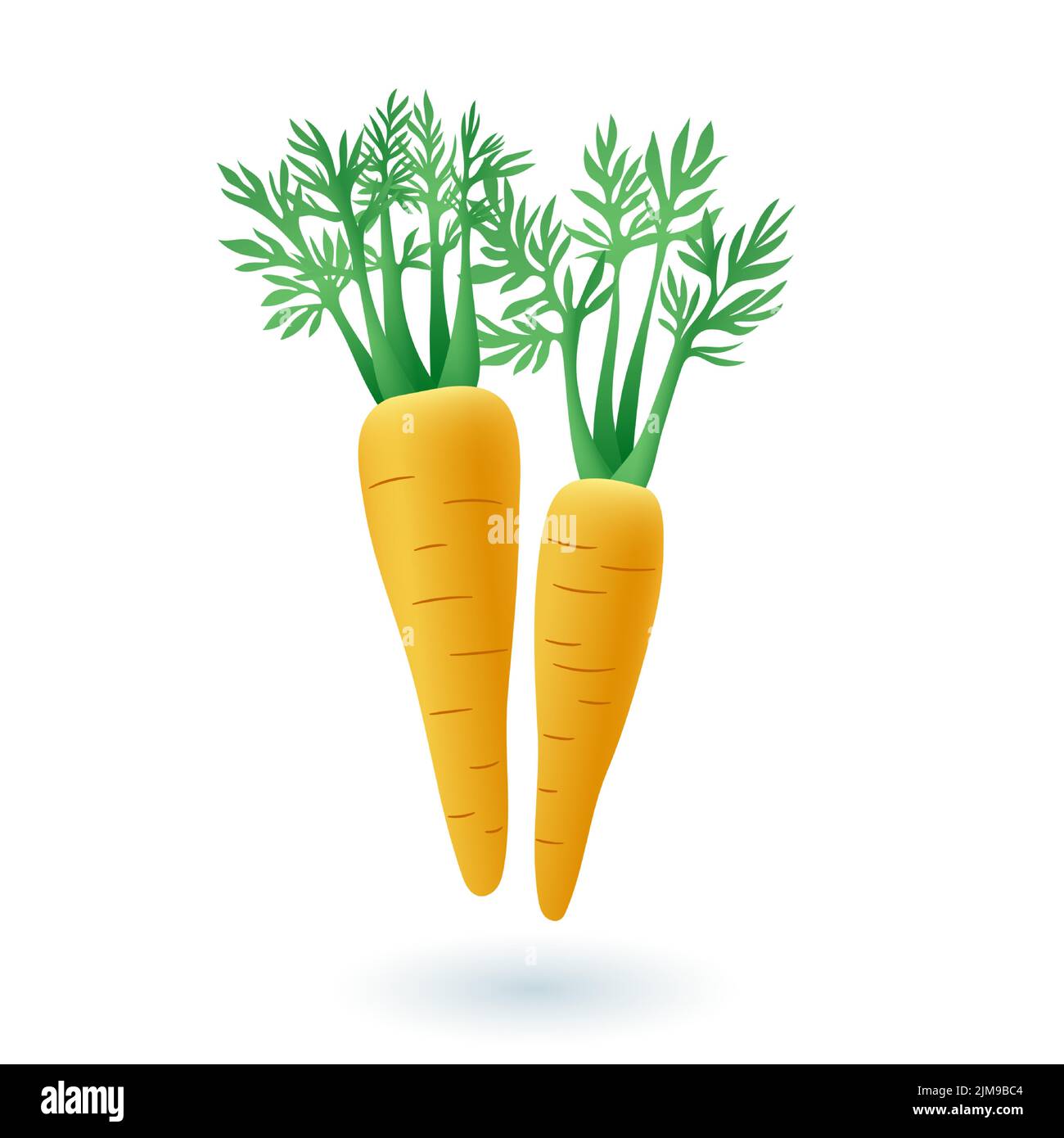 3d cartoon style carrots icon on white background. Fresh organic ...