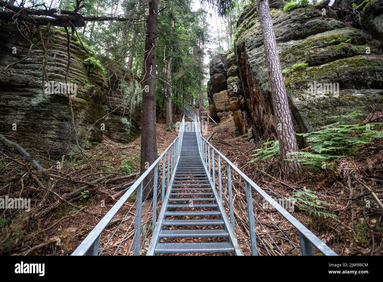 Metalic ladder hi-res stock photography and images - Alamy