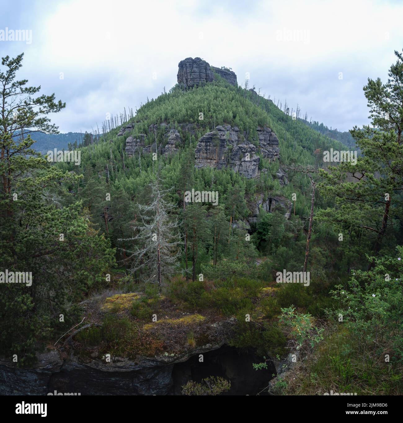 Falkenstein Castle as Sandstone rock formations in Bohemian Switzerland ...