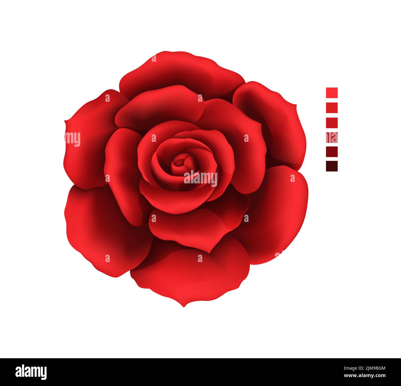 Rose hand drawing and mesh colored. A blossoming rosebud. Vector ...