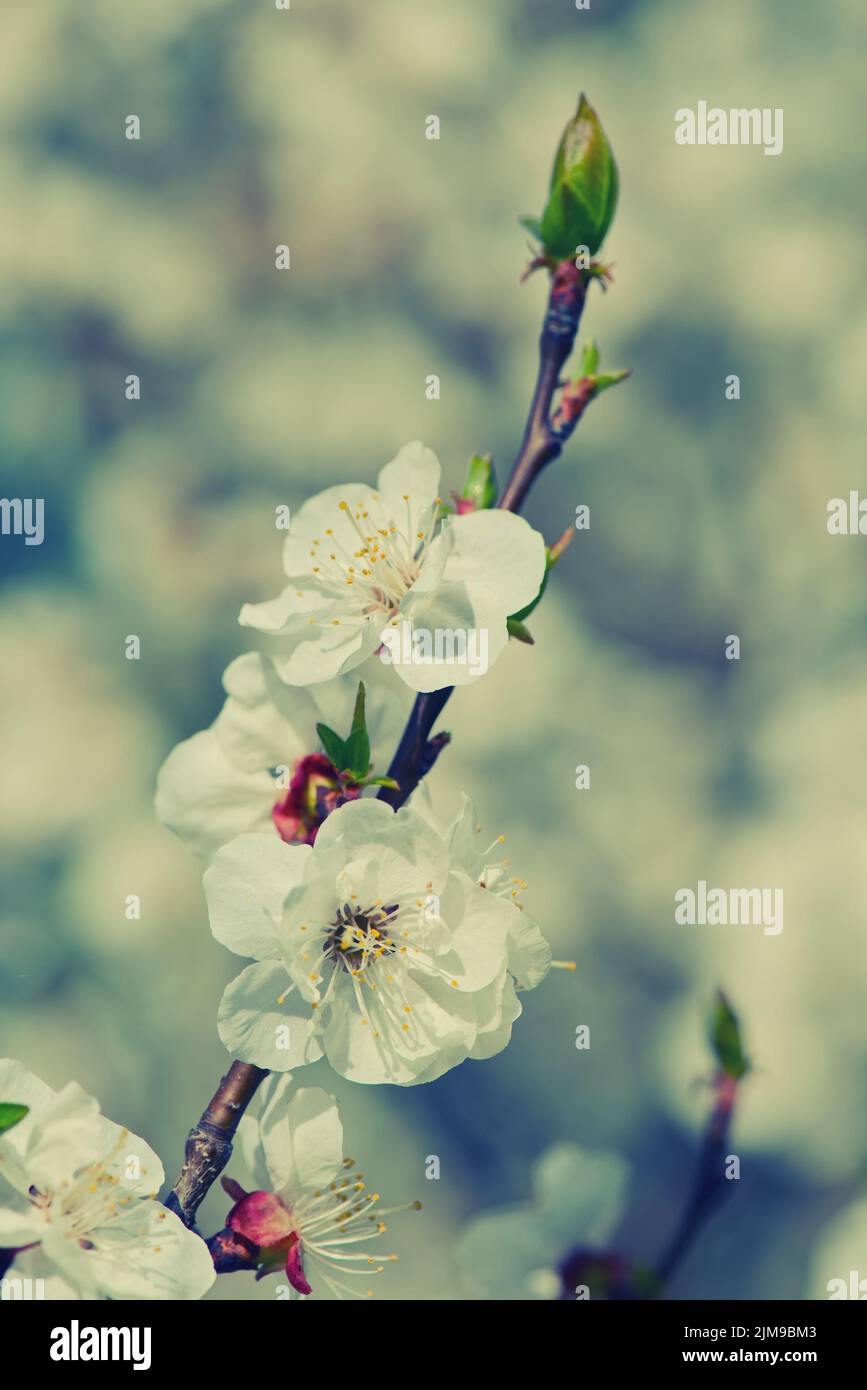 Blue sky coming hi-res stock photography and images - Alamy