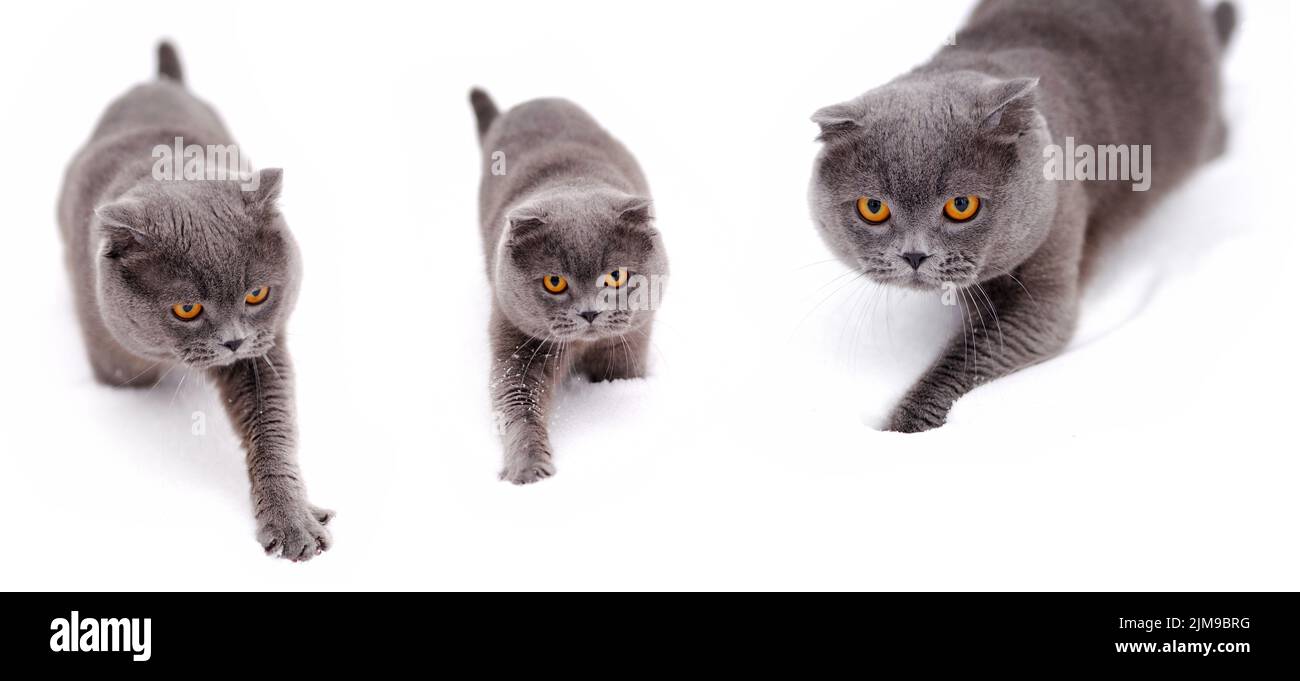 Snow view Cut Out Stock Images & Pictures - Alamy