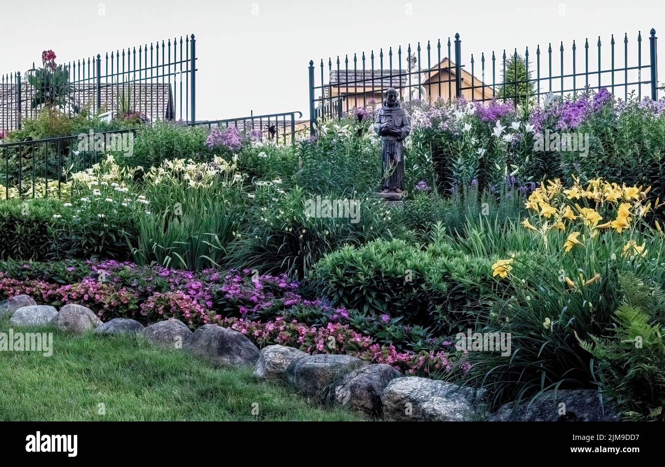 Statue of St. Francis of Assisi among the beautiful blooming lilies and ...