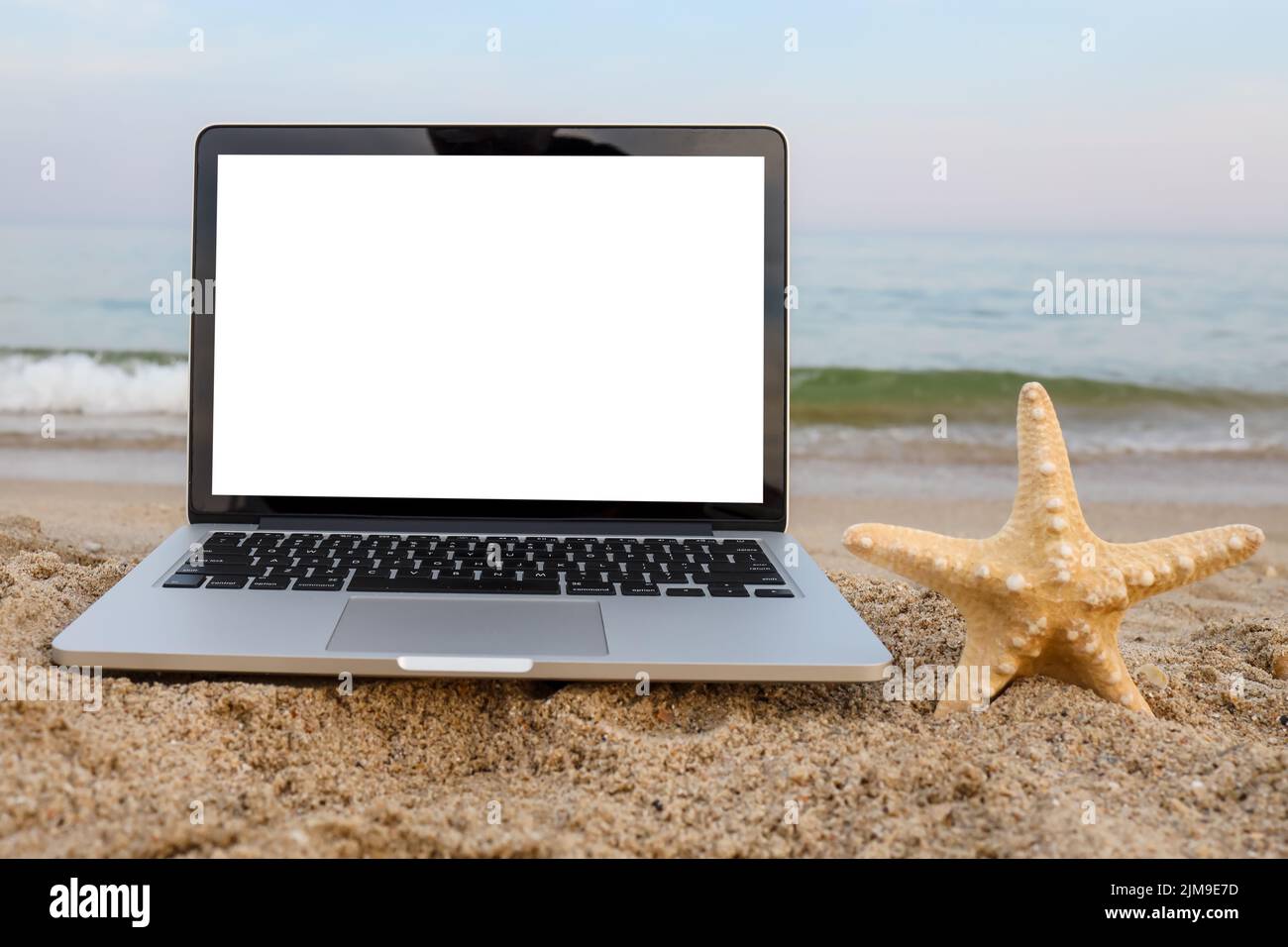 Laptop and starfish on the sand on the beach in summer in the ...