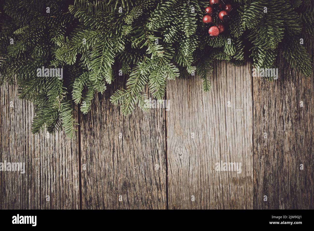 Christmas holly background theme hi-res stock photography and images ...